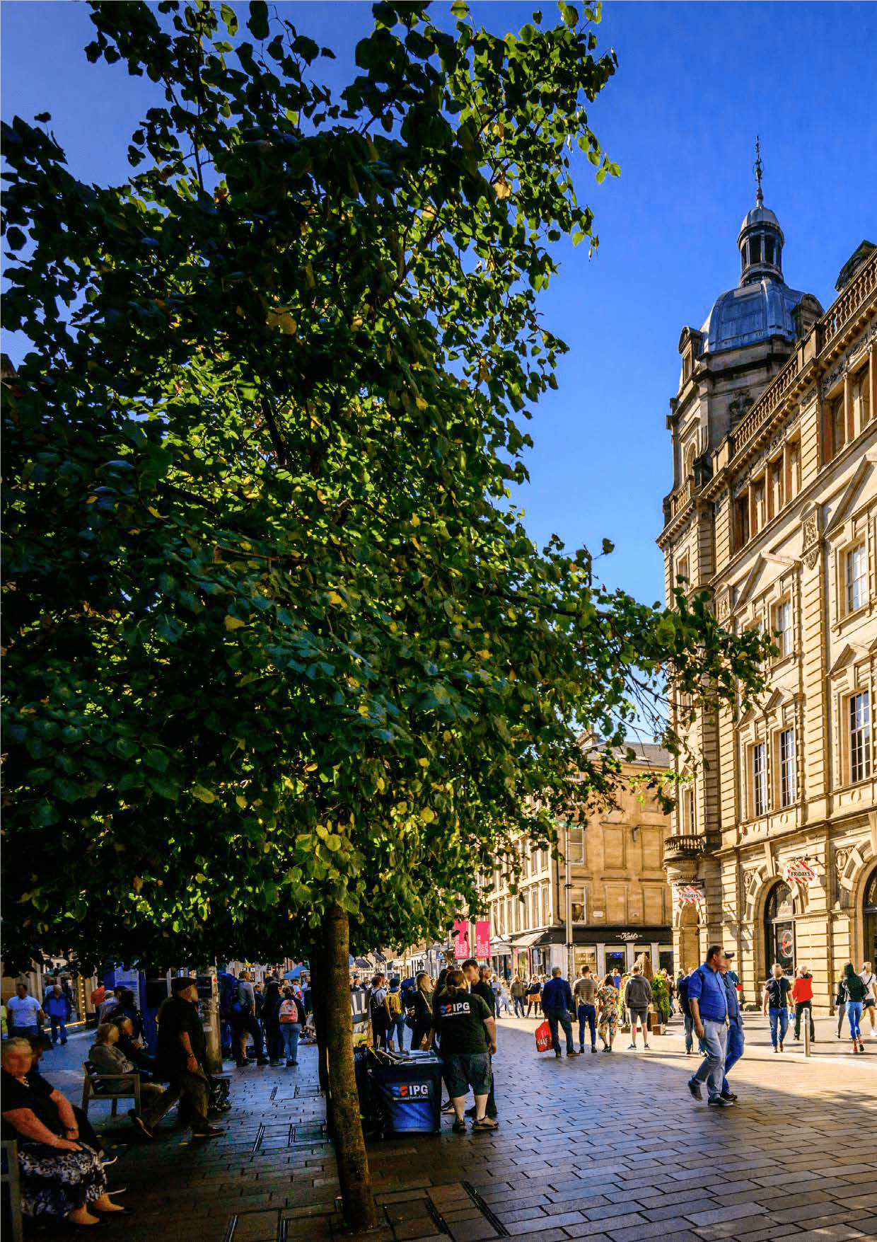 Strategy & Intelligence | Invest Glasgow